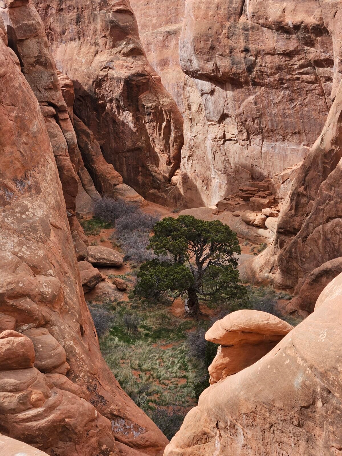 Krill and Lomatium Canyons, Arches NP, Utah – Girl on a rope