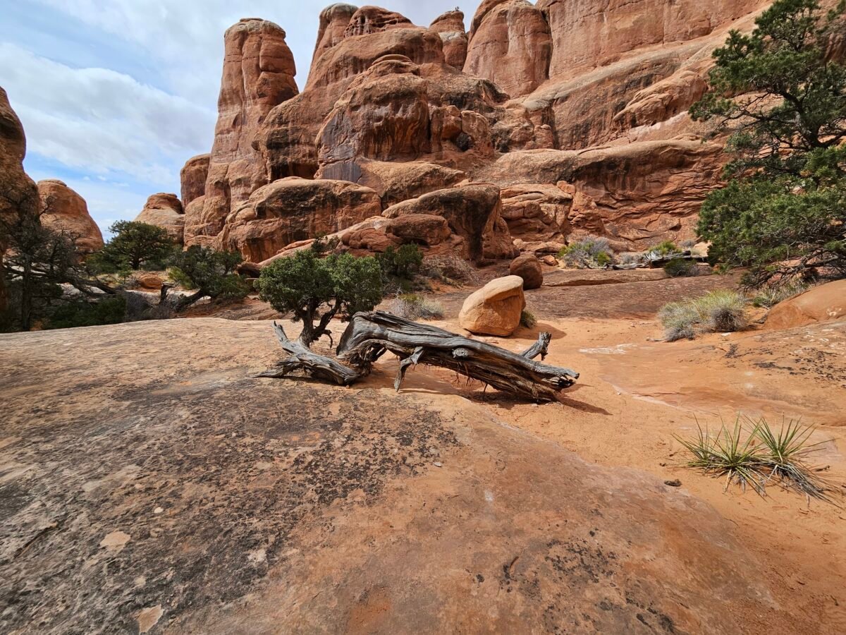 Krill and Lomatium Canyons, Arches NP, Utah – Girl on a rope